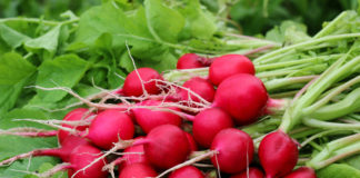 The Bedford Tribune | News you can use from Bedford, Ohio